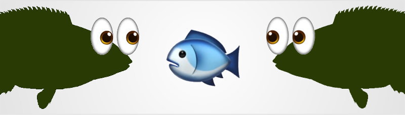 Ultimate Guide to Lure Fishing for Wrasse & HRF