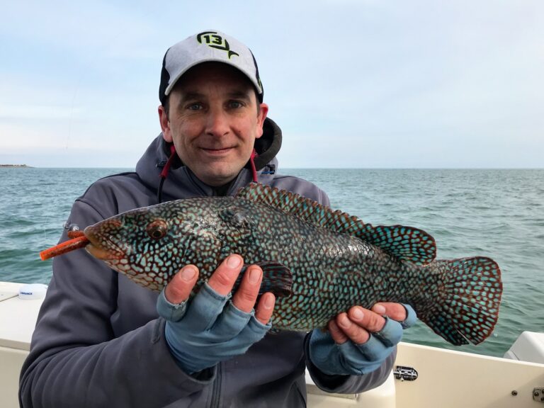 Early Ballan Wrasse on Ned Rig - Hard Rock Fishing | HRF