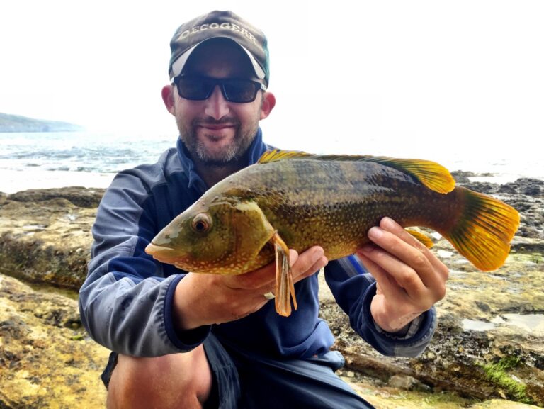 Birthday Wrassing - Hard Rock Fishing | HRF